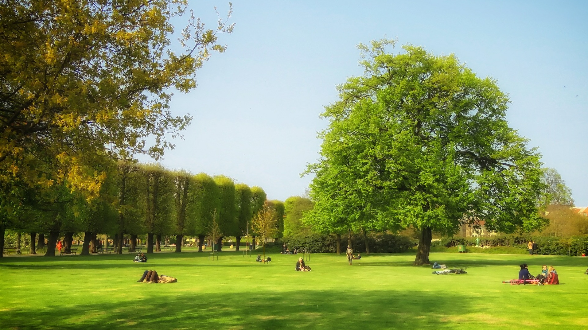 Loukaitou-Sideris on Creating Equitable Public Spaces