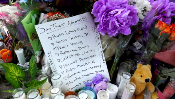 Panofsky on Distortion of Science to Justify White Supremacy